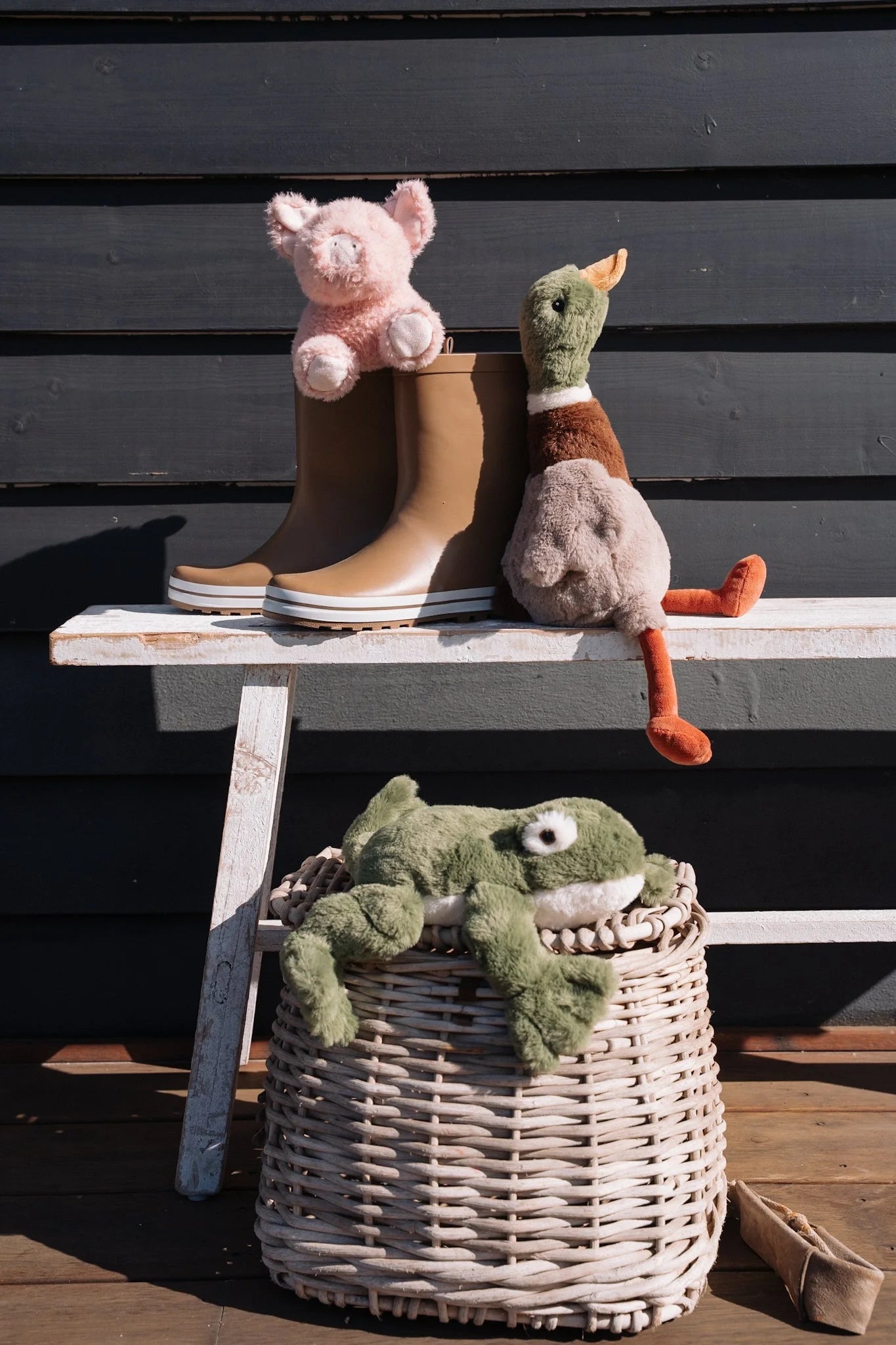 Finley the Frog – Loving Mother